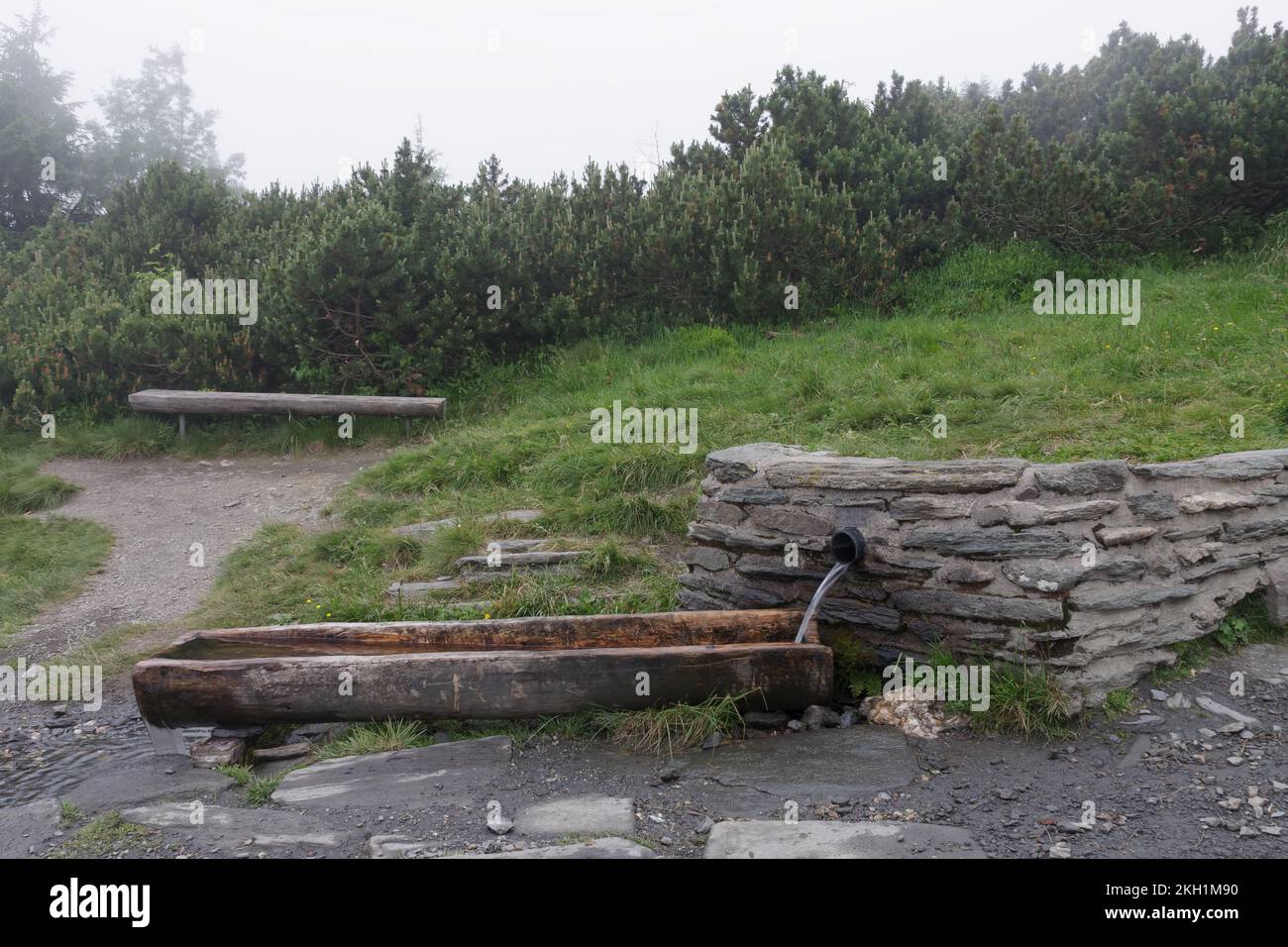Deer drinking water in stream hi-res stock photography and images - Alamy
