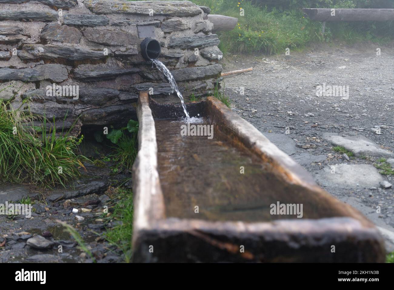 Deer drinking water in stream hi-res stock photography and images - Alamy