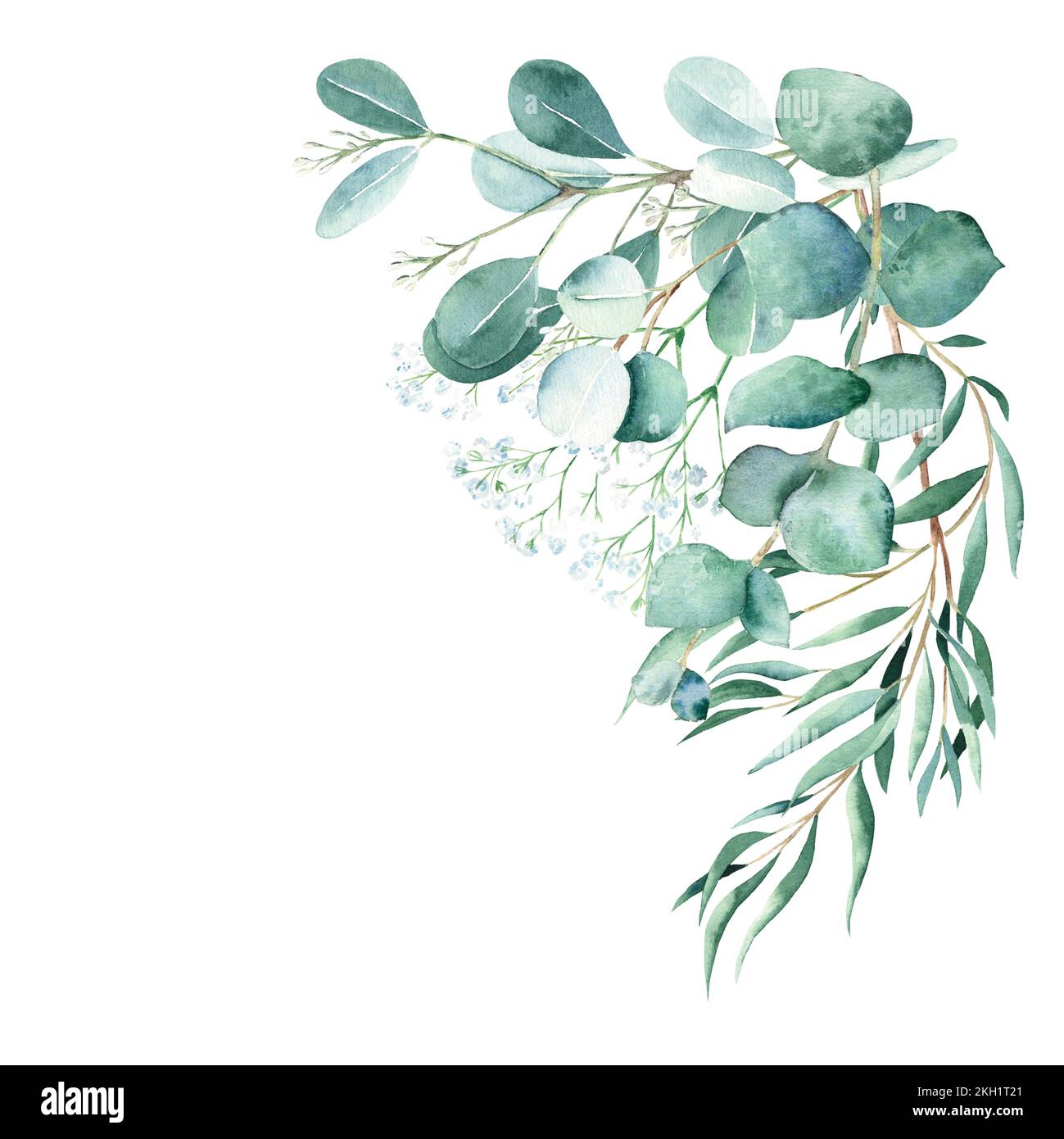 Seeded Eucalyptus Clipart