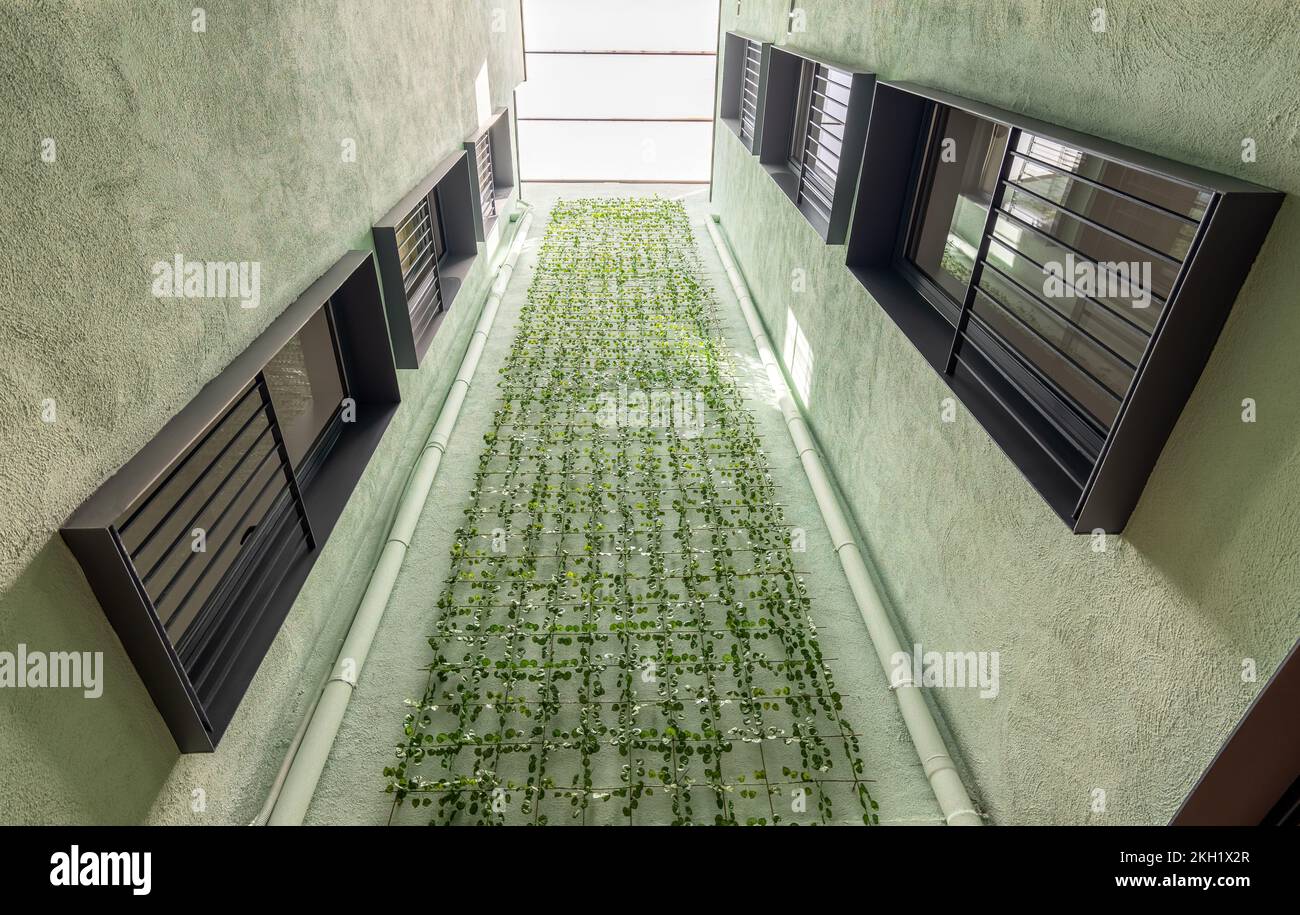 Lookup view of modern residential building with vertical gardening in ... Lookup view of modern residential building with vertical gardening in ...