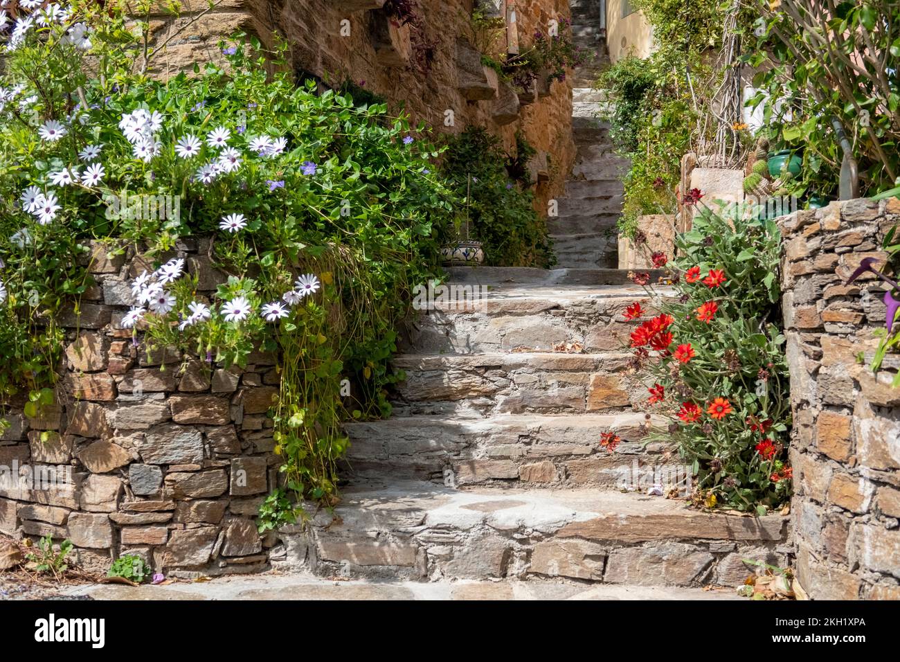Bormes les Mimosas, charming village in the south of France Stock Photo - Alamy