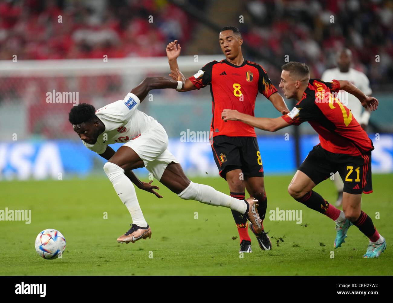 Timothy davies hi-res stock photography and images - Alamy