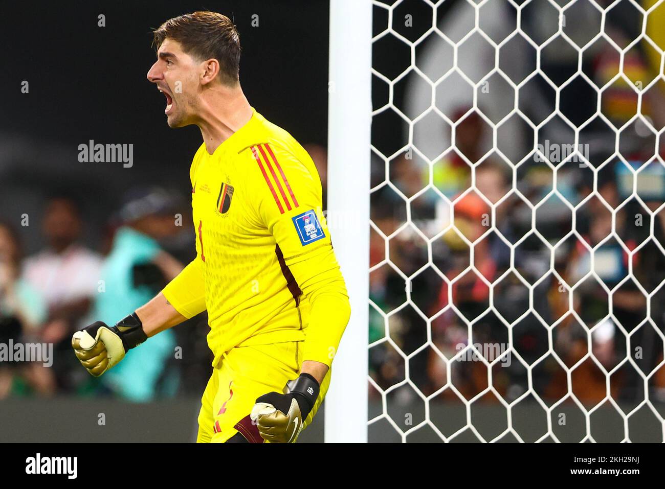 Doha, football, FIFA World Cup 2022, Belgium. 23rd Nov, 2022. vs Canada ...