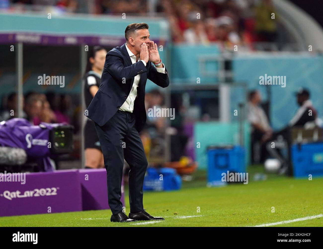 Canada manager John Herdman gestures on the touchline during the FIFA World Cup Group F match at ...