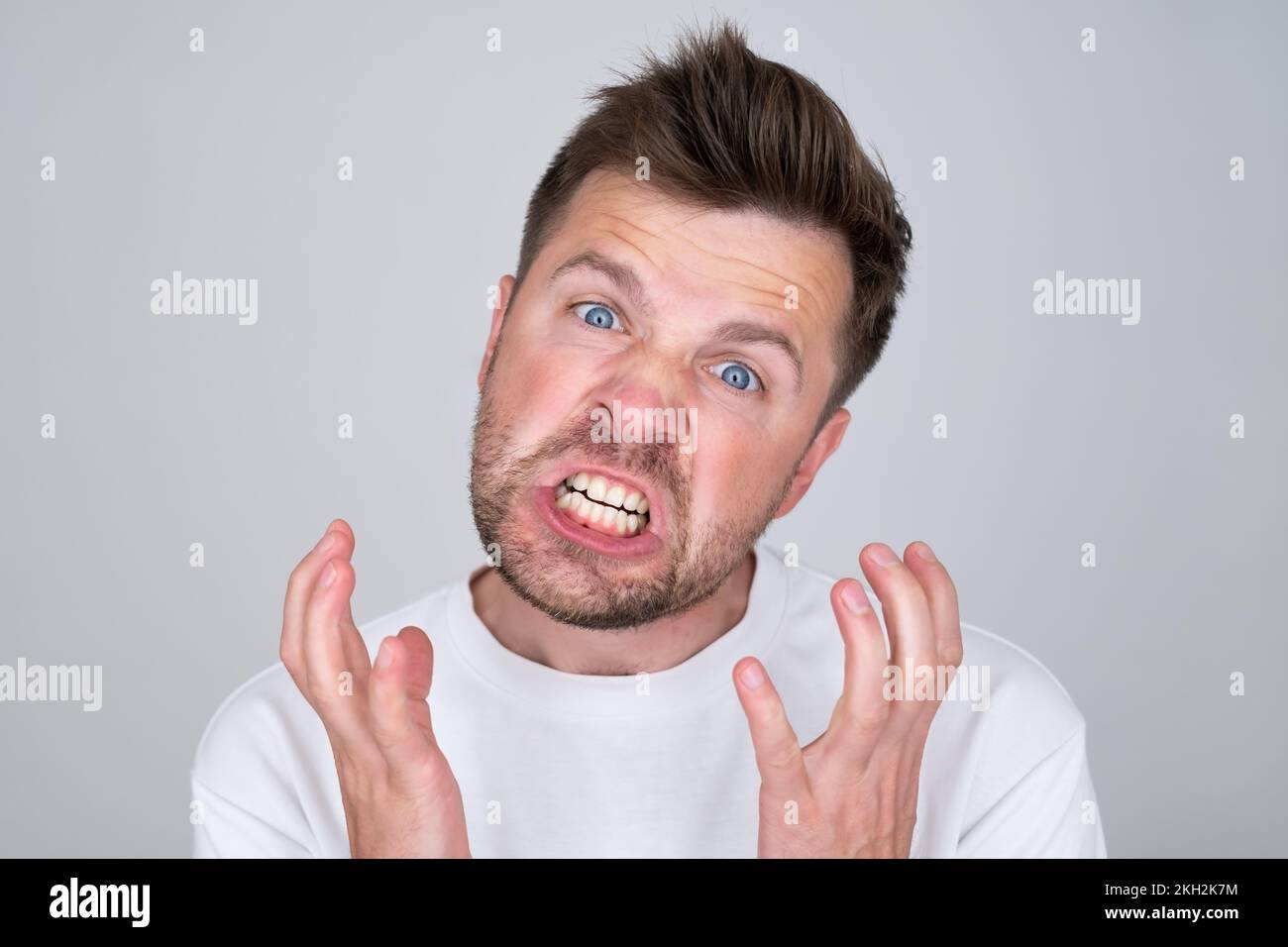Insulting animal hi-res stock photography and images - Alamy
