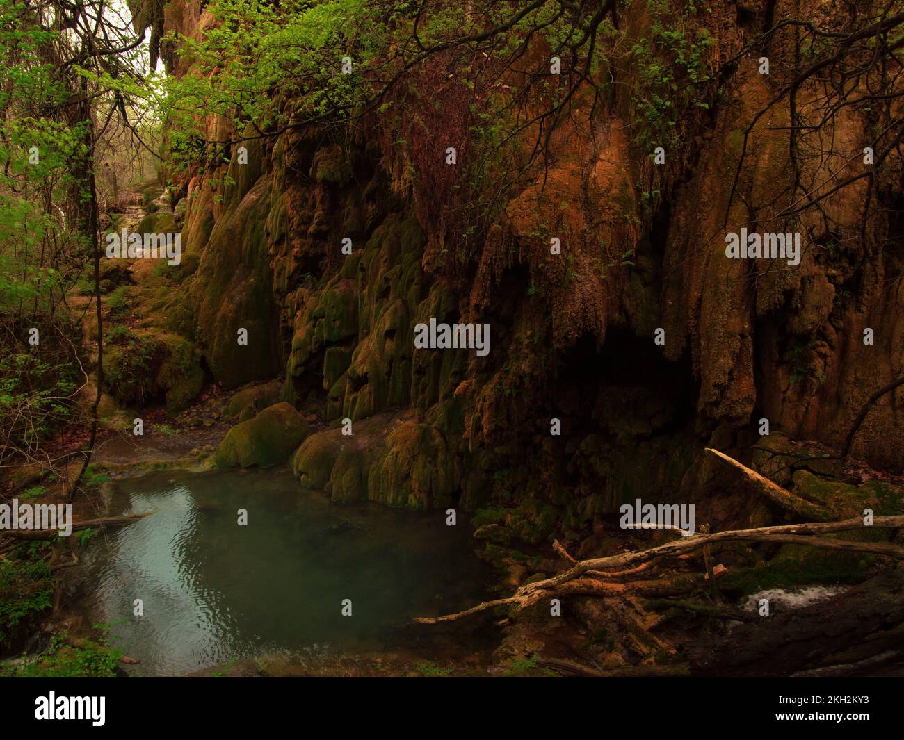 gorman falls in colorado bend state park Stock Photo - Alamy