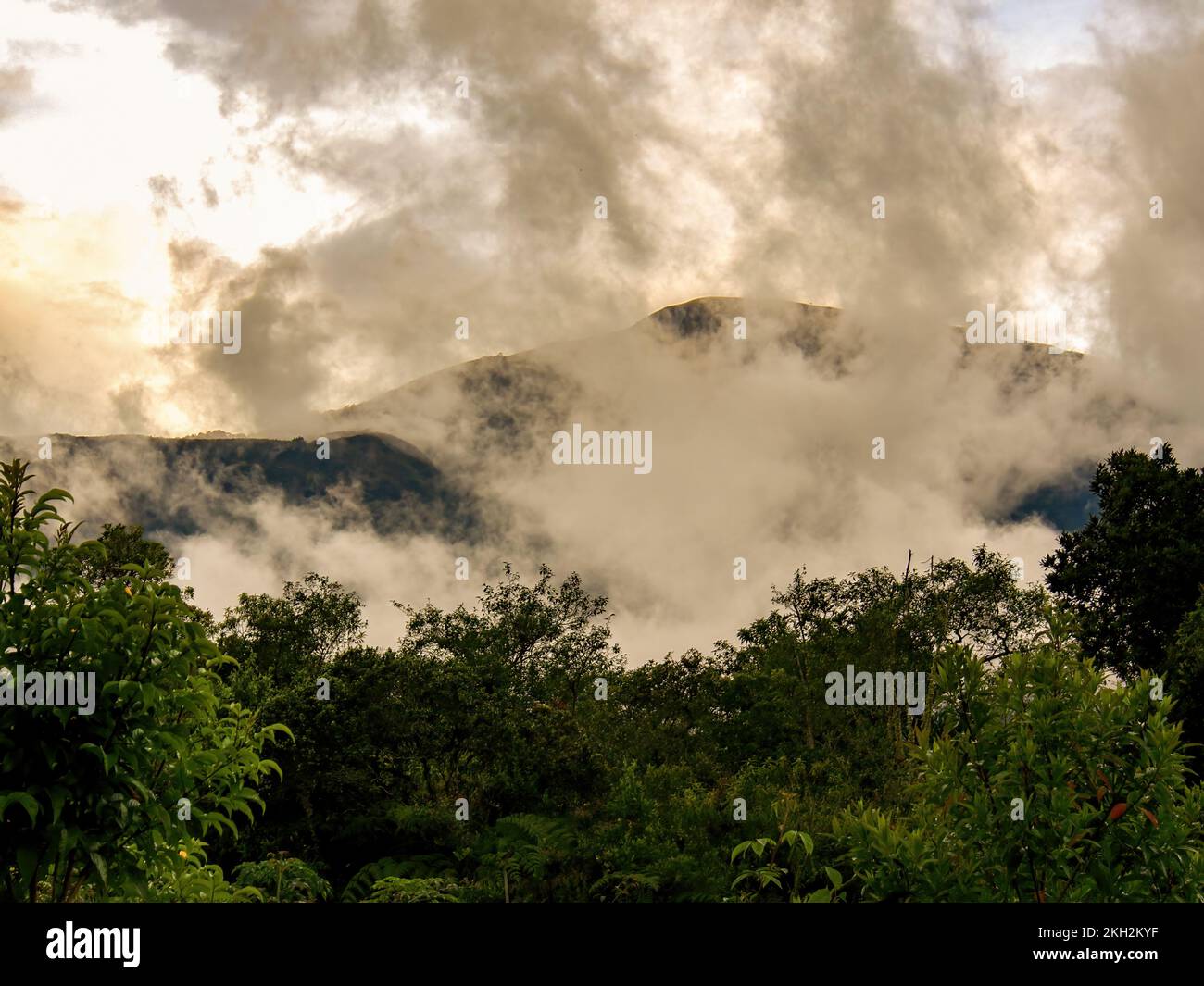 The Iguaque mountain in the central Andean range of Colombia covered ...