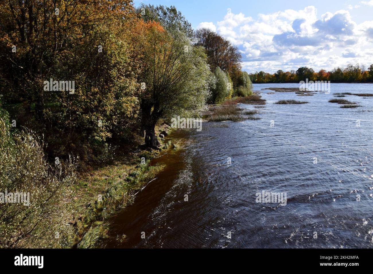 An aerial view of the lakeshore with lush green nature Stock Photo - Alamy