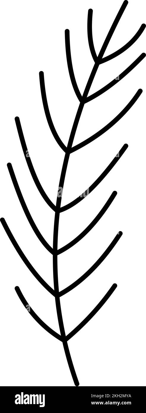 Sprig fir Stock Vector Images - Alamy