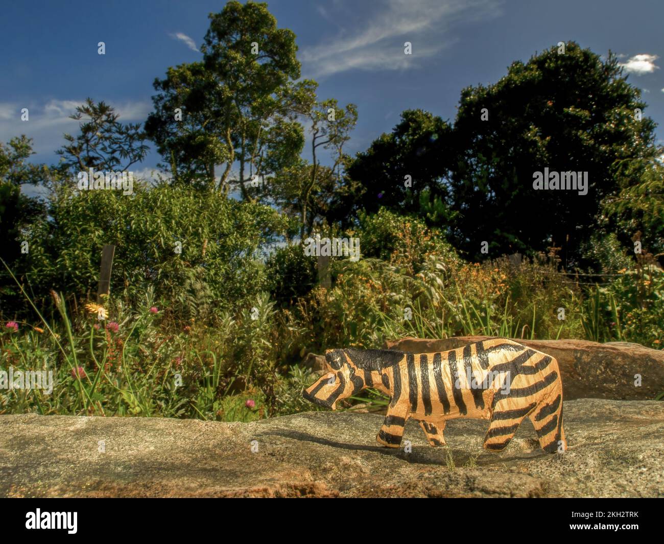 Handcrafted wooden animal figurines photographed in natural ...