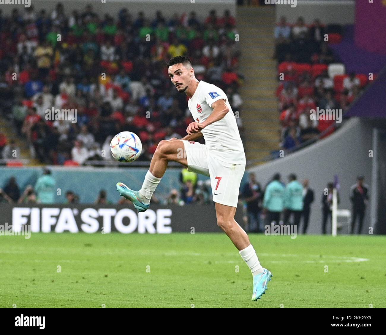 Doha, Qatar. 23rd Nov, 2022. Estádio Ahmed bin Ali Stephen Eustáquio do ...
