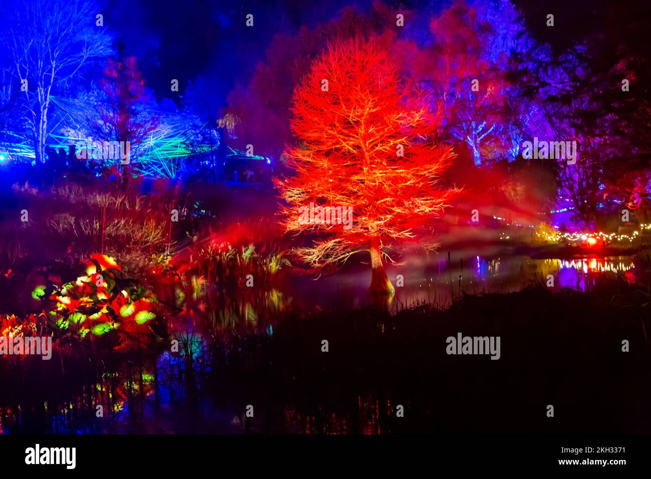 Romsey, Hampshire UK. 23rd November 2022. Preview evening of Light Up ...