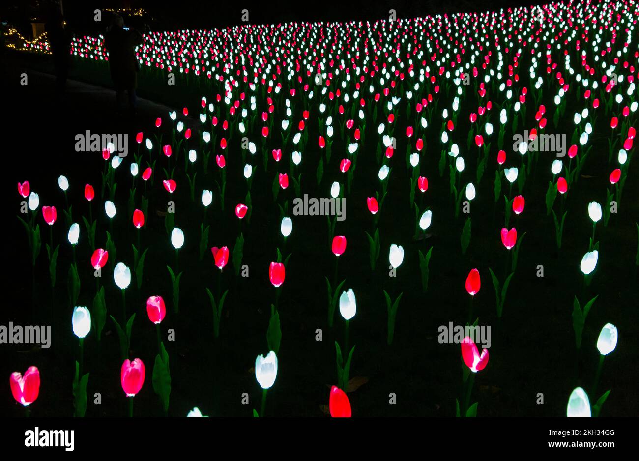 Romsey, Hampshire UK. 23rd November 2022. Preview evening of Light Up ...