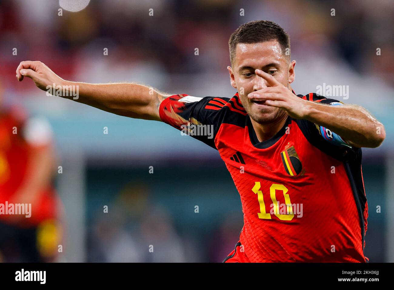 Al Rayyan, Qatar. 23rd Nov, 2022. Rayyan, Qatar. Credit: Marcelo ...