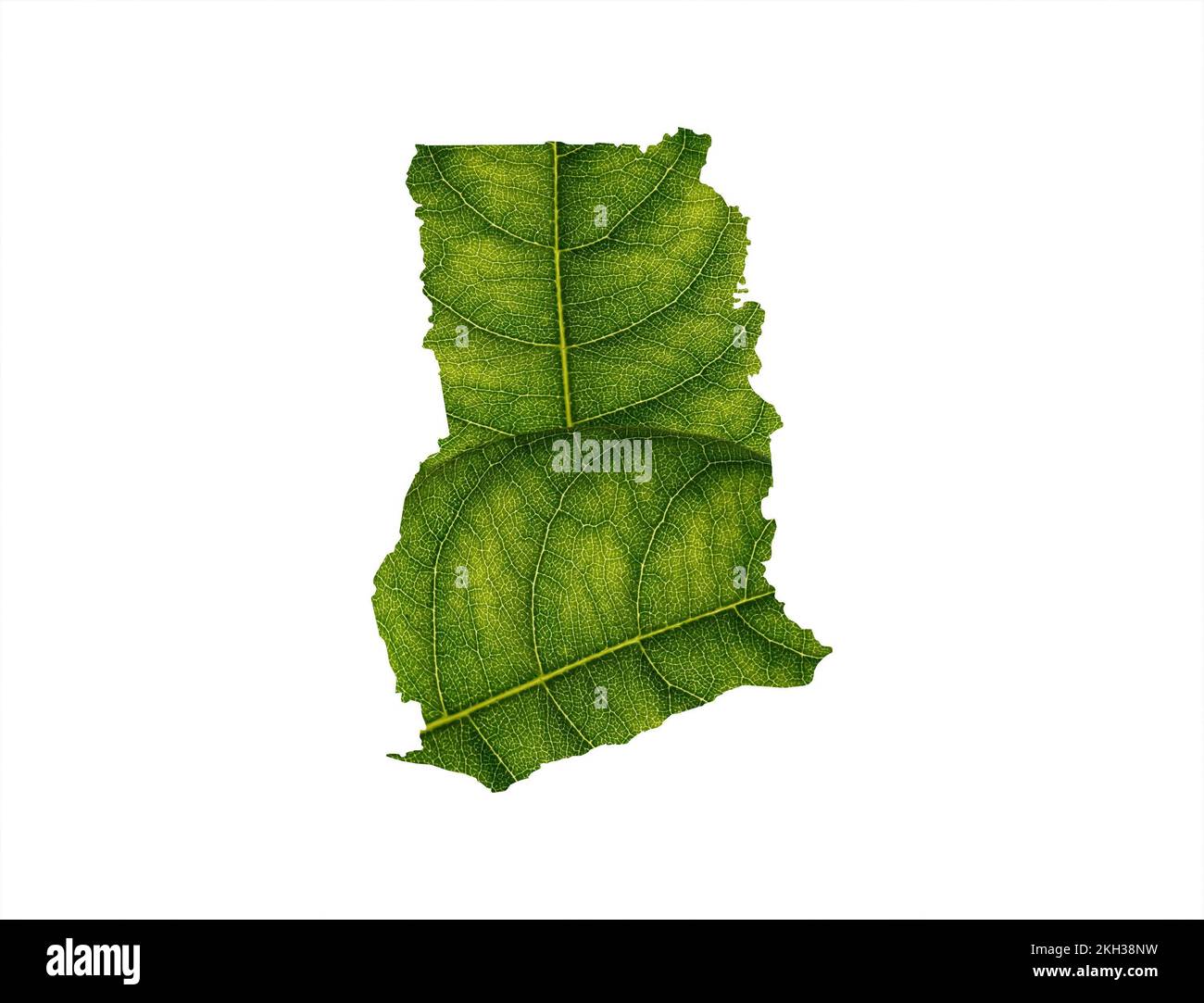 A bright green leaf shaped like the map of Ghana isolated on a plain ...