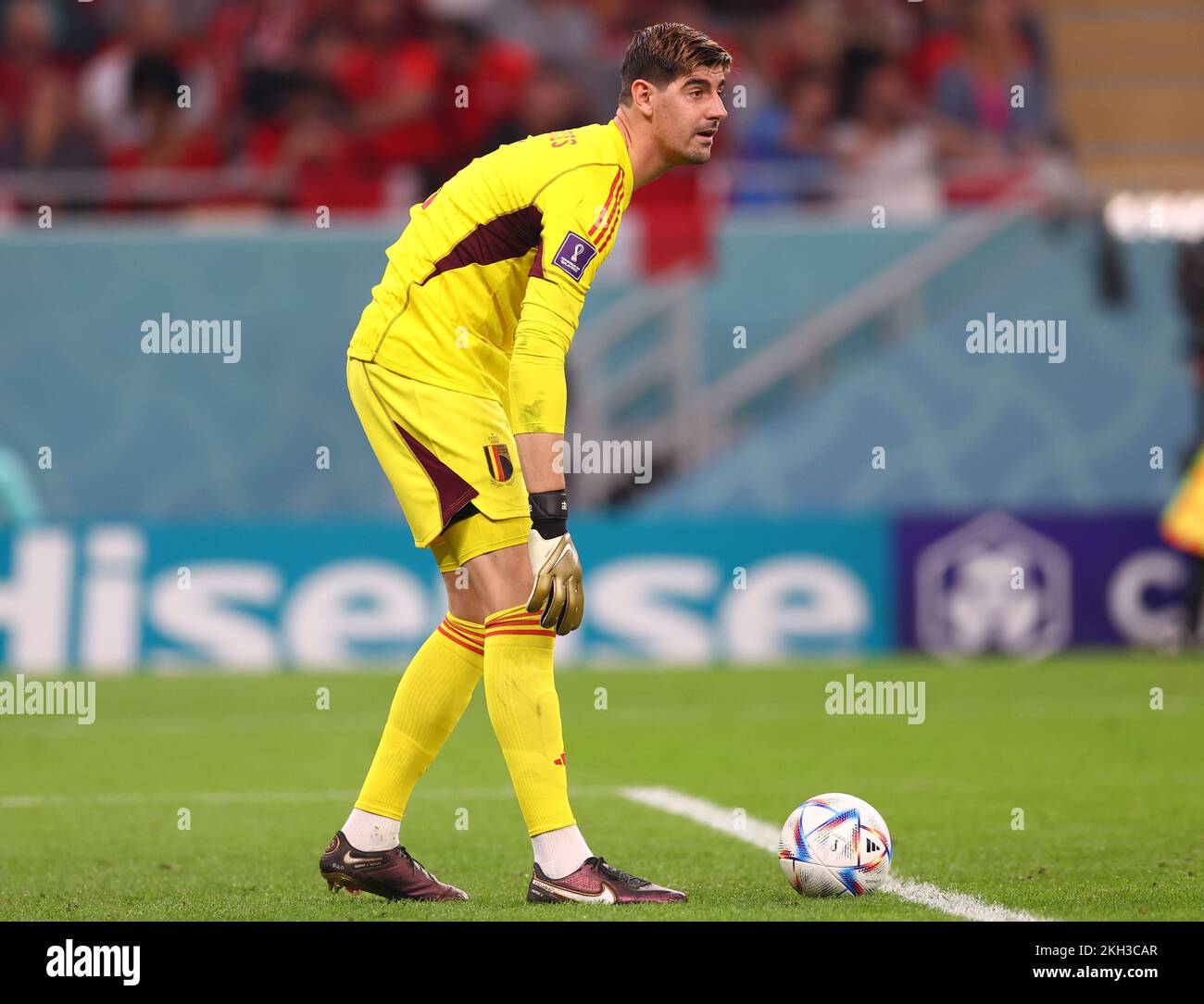 Al Rayyan, Qatar. 23rd Nov, 2022. Thibaut Courtois of Belgium during ...