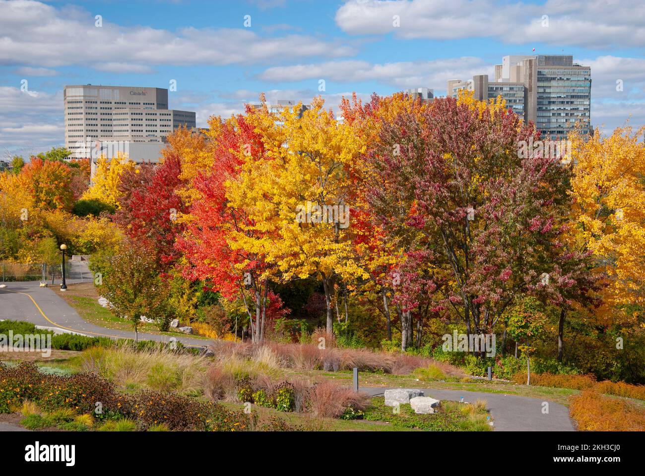 Public Park in Fall Colours with Gatineau, Quebec across the Ottawa ...