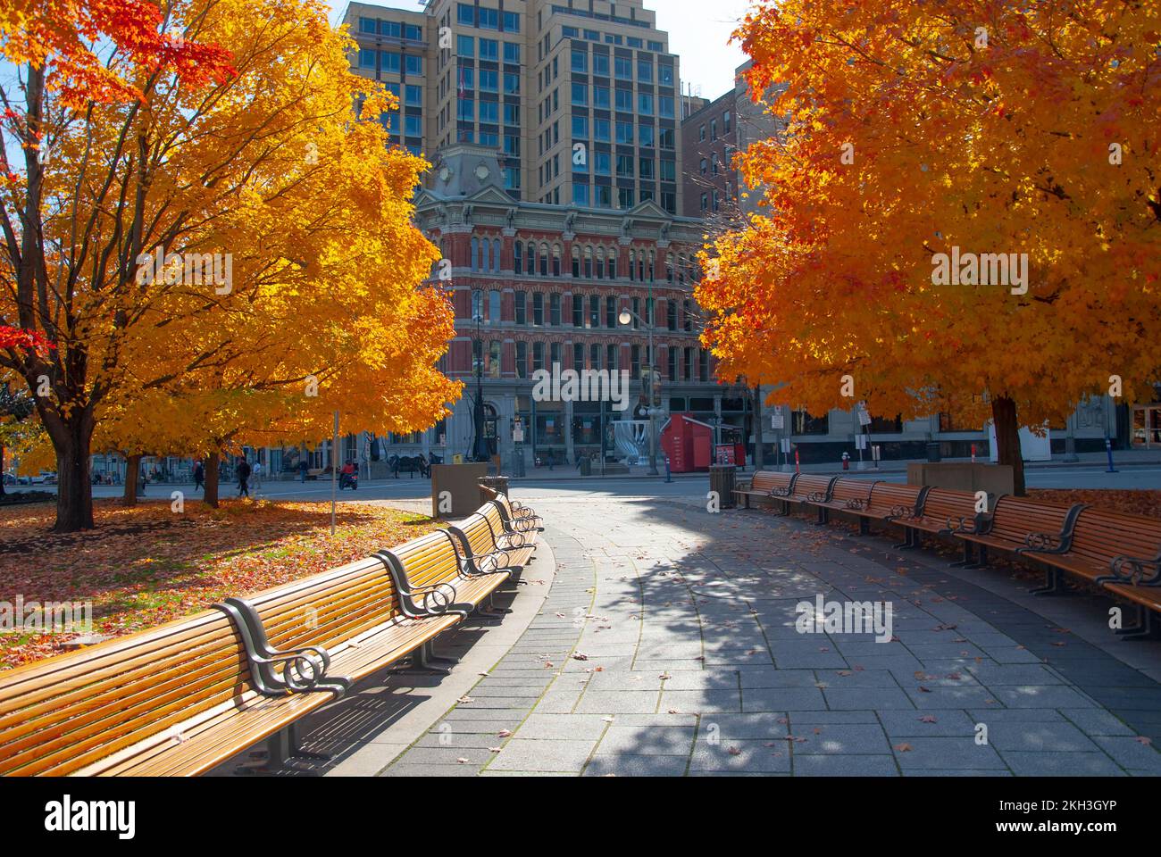 City Park in Fall Colours, along Elgin Street, Ottawa, Ontario, Canada ...