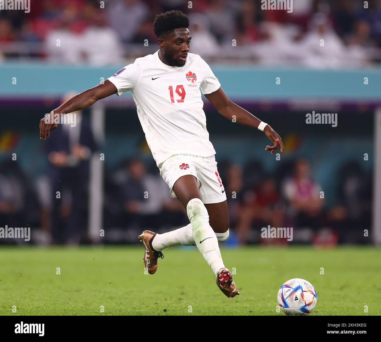 Al Rayyan, Qatar. 23rd Nov, 2022. Alphonso Davies of Canada during the ...