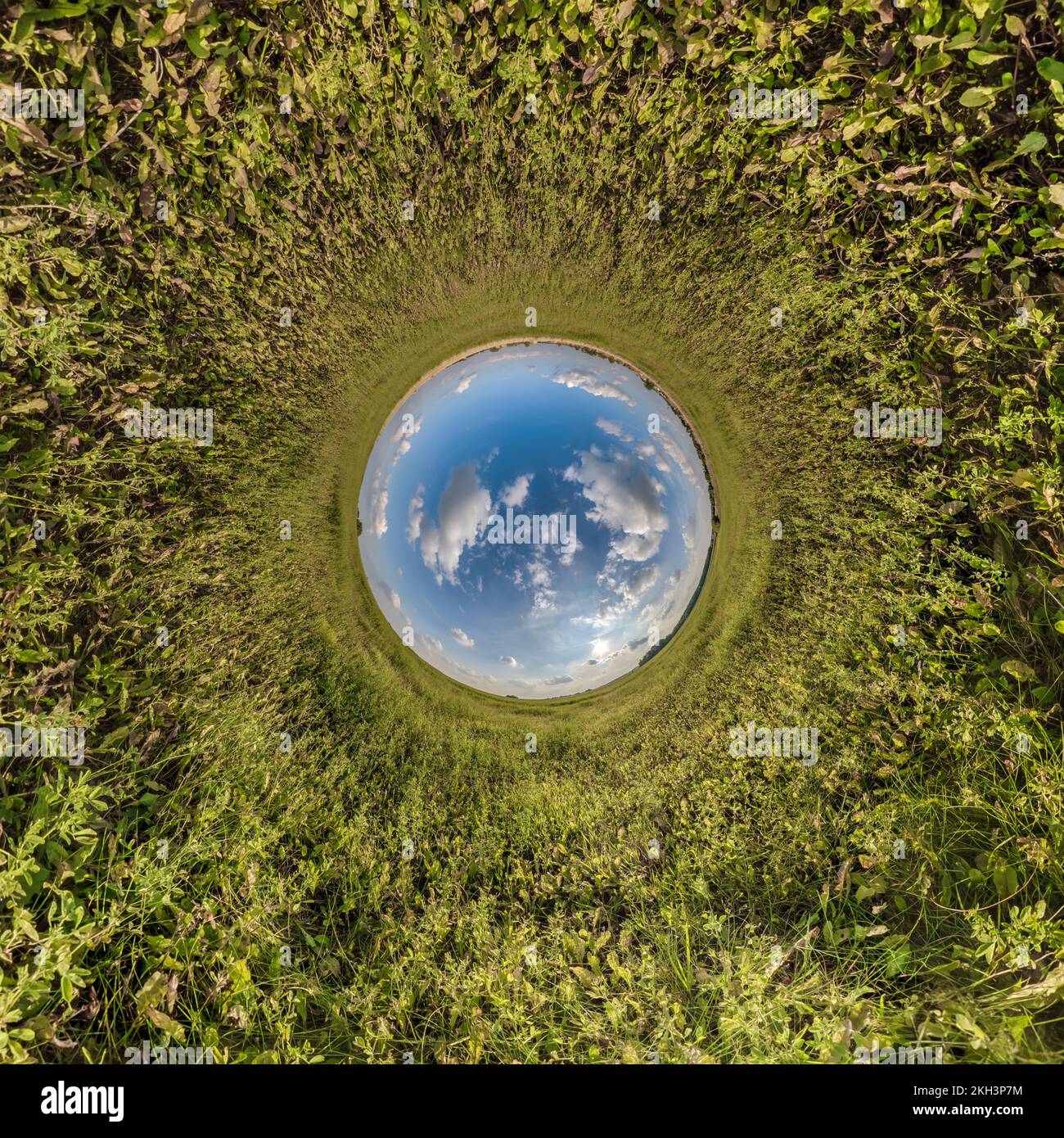 blue sphere little planet inside green grass round frame background ...