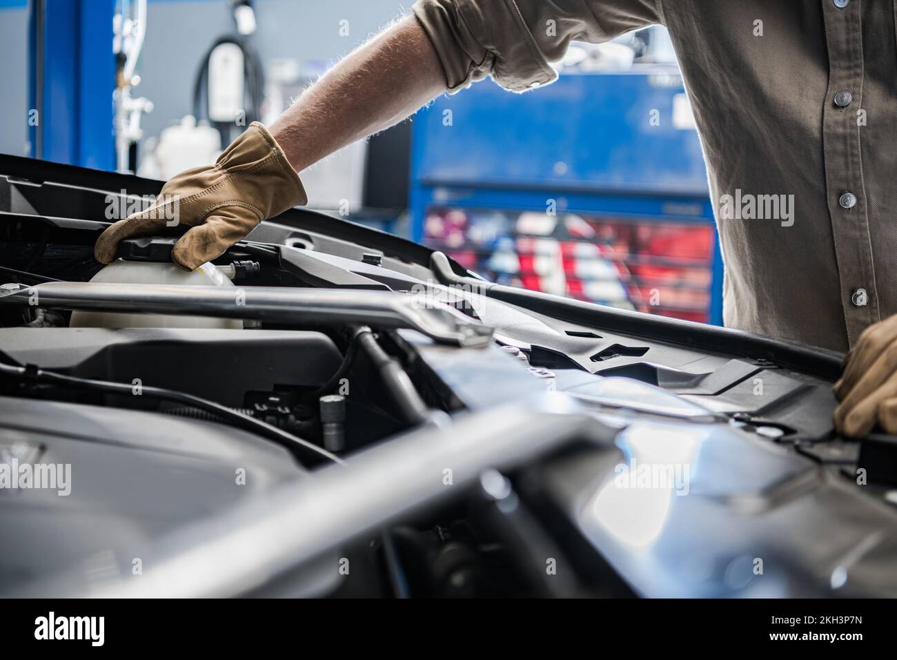 Professional Car Mechanic Checking Engine Coolant Liquid Level. Vehicle ...