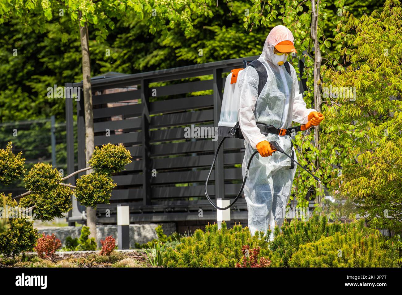 Scheduled pest hi-res stock photography and images - Alamy