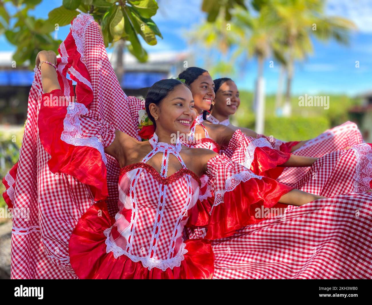 Caña de flecha hi-res stock photography and images - Alamy