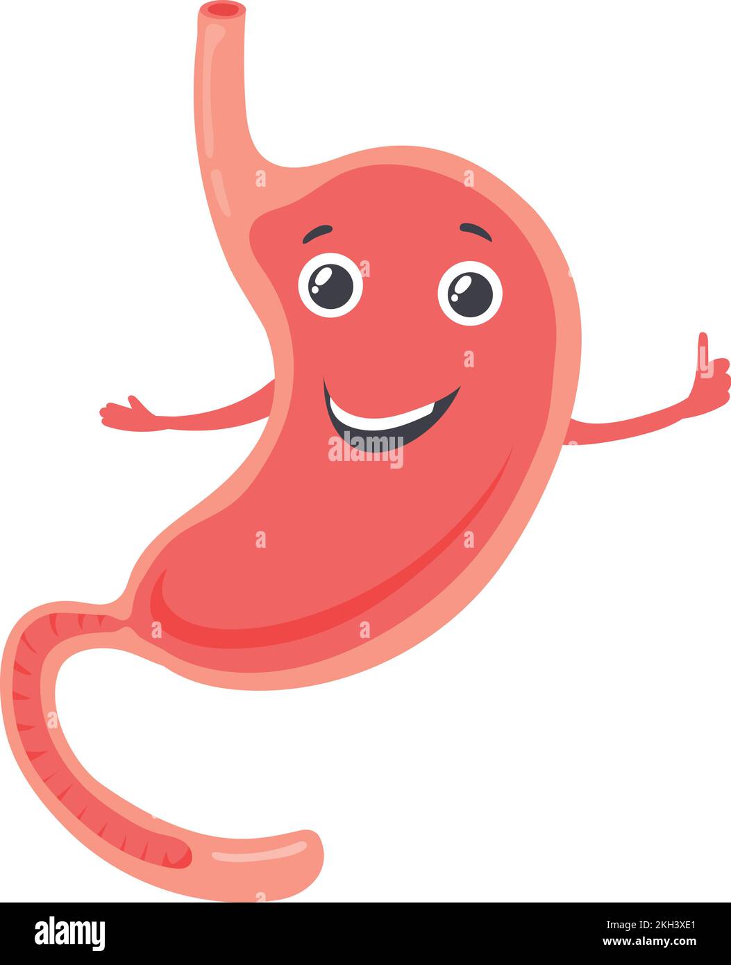 Healthy stomach mascot. Happy cartoon human organ isolated on white ...