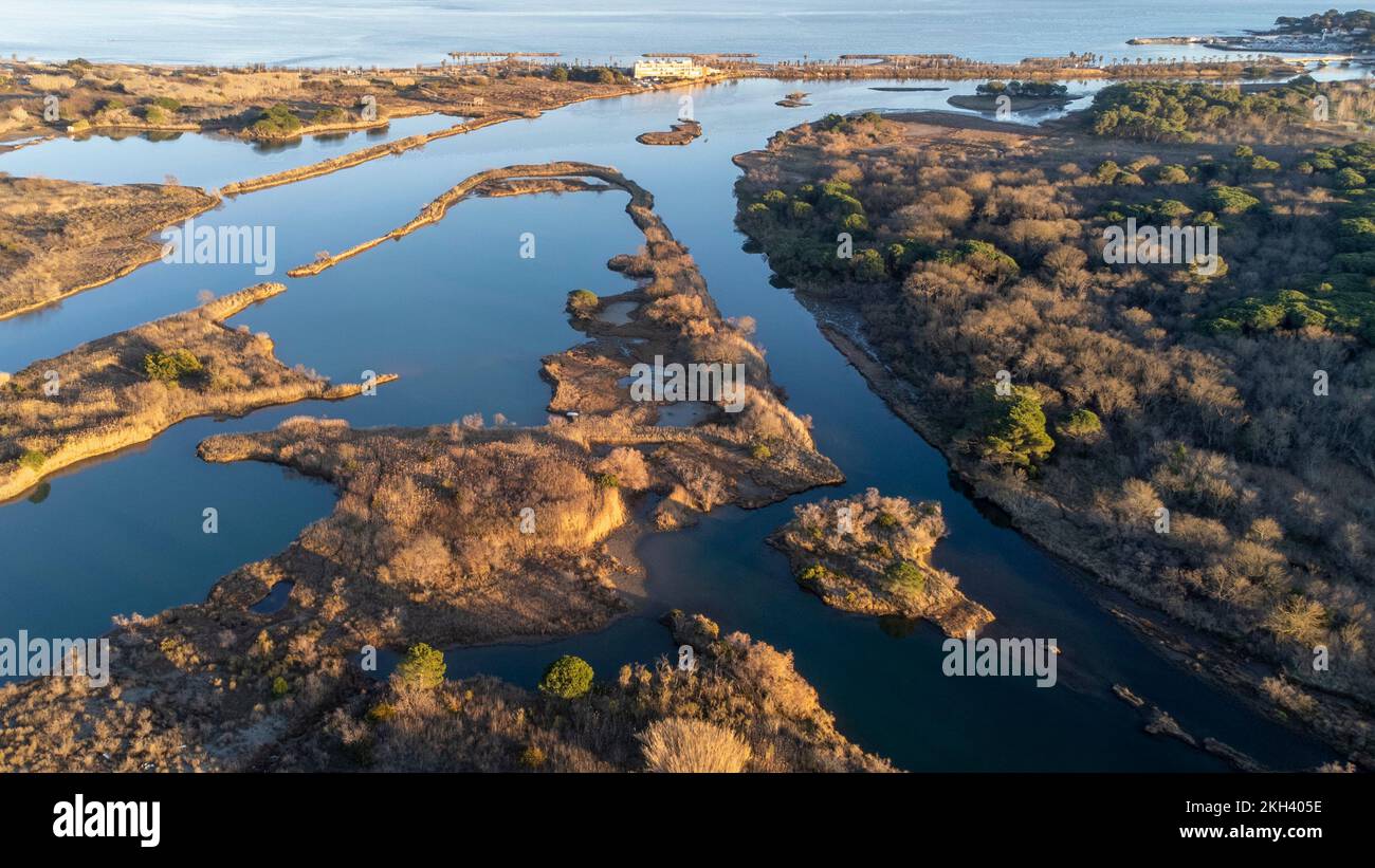 Aerial view of Ponds of Villepey at winter, protected aera. In Esterel ...