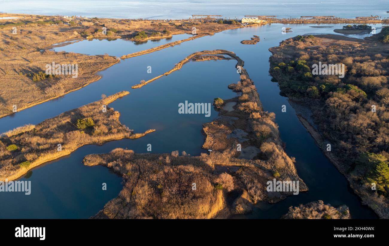 Aerial view of Ponds of Villepey at winter, protected aera. In Esterel ...