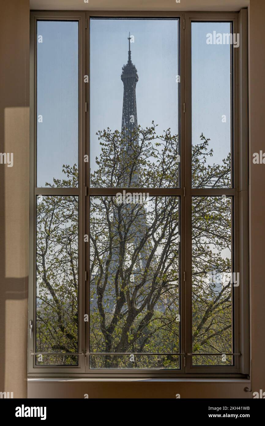 View of the Eiffel Tower and a tree through a window Stock Photo - Alamy