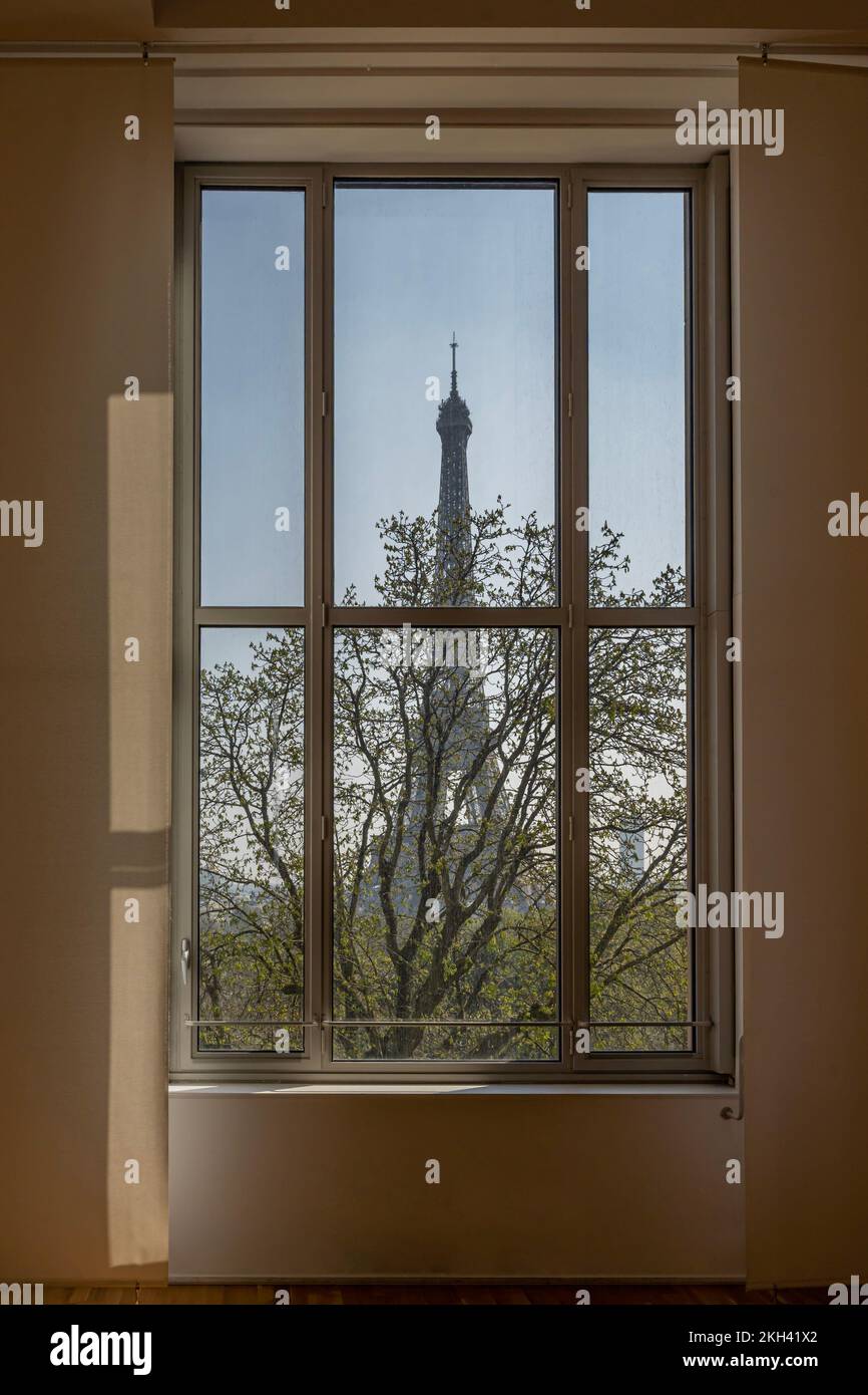 View of the Eiffel Tower and a tree through a window Stock Photo - Alamy