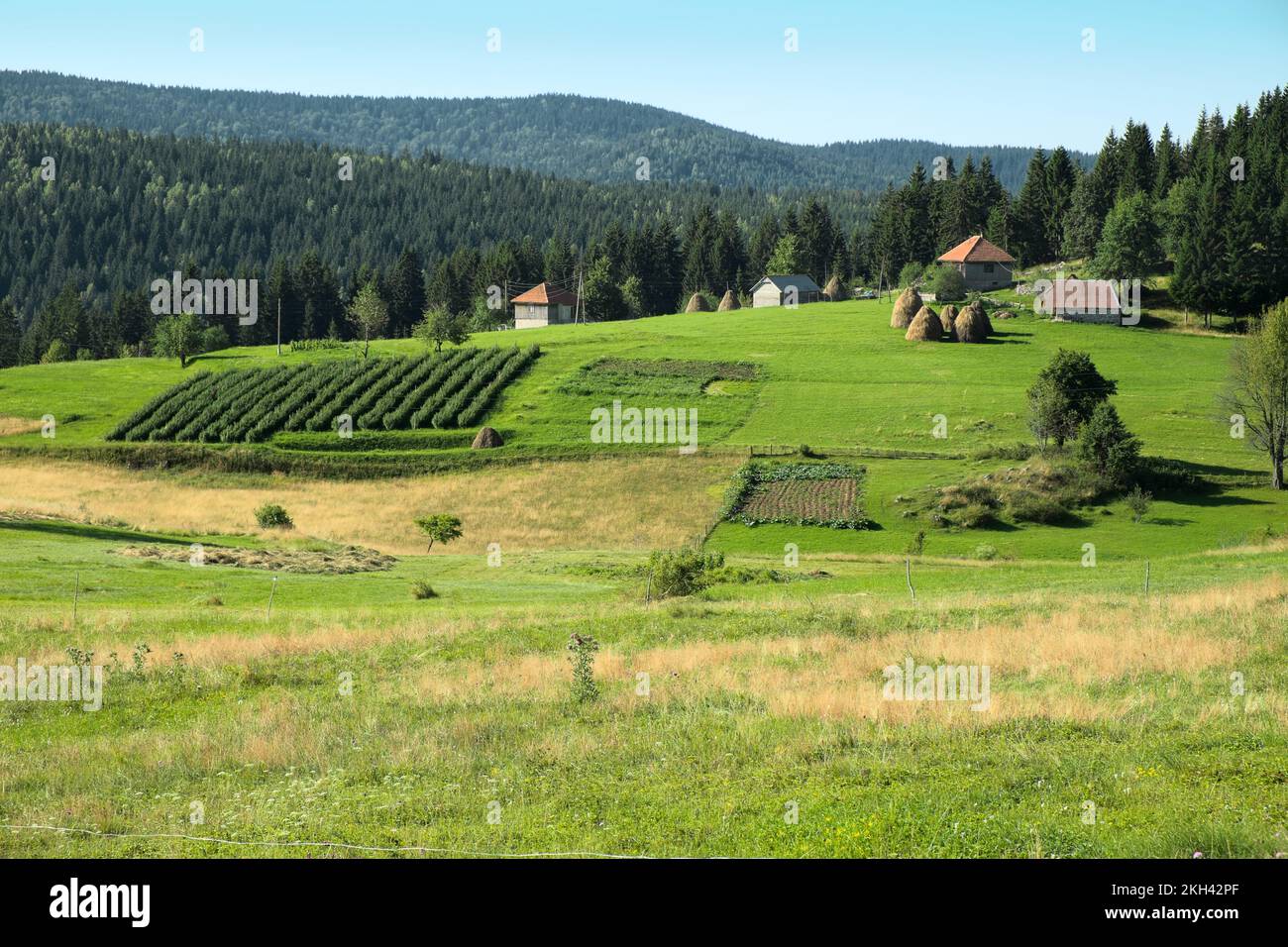 idyllic farm land in Serbia, Kamena Gora Stock Photo - Alamy
