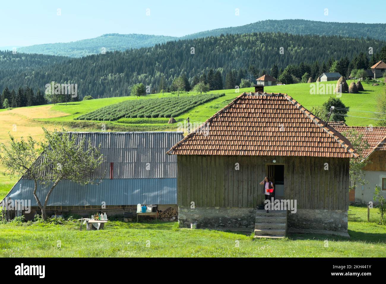 farm in mountain of Serbia, Kamena Gora Old Village Stock Photo - Alamy
