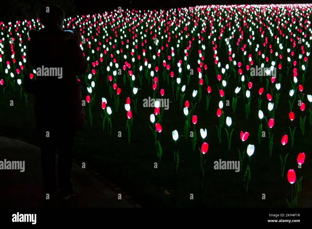Romsey, Hampshire UK. 23rd November 2022. Preview evening of Light Up ...