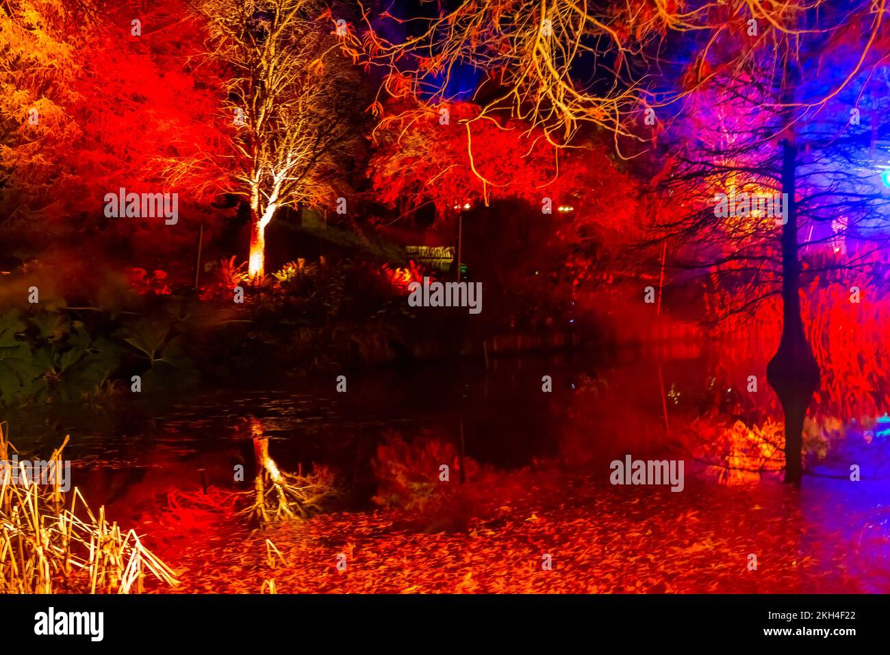 Romsey, Hampshire UK. 23rd November 2022. Preview evening of Light Up ...