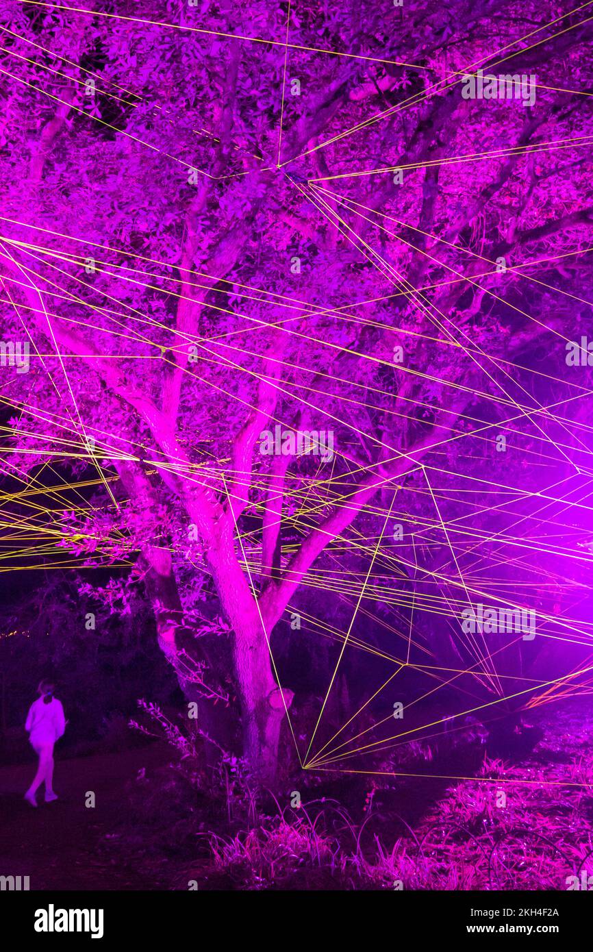 Romsey, Hampshire UK. 23rd November 2022. Preview evening of Light Up ...