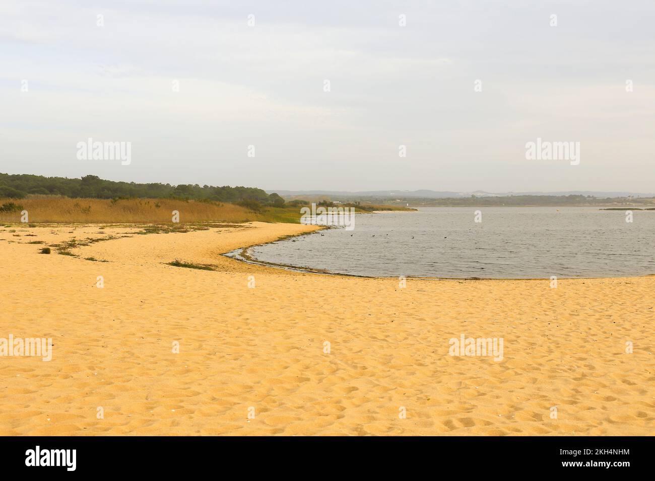 Natural Reserve of the Lagoons of Santo Andre and Sancha in the ...