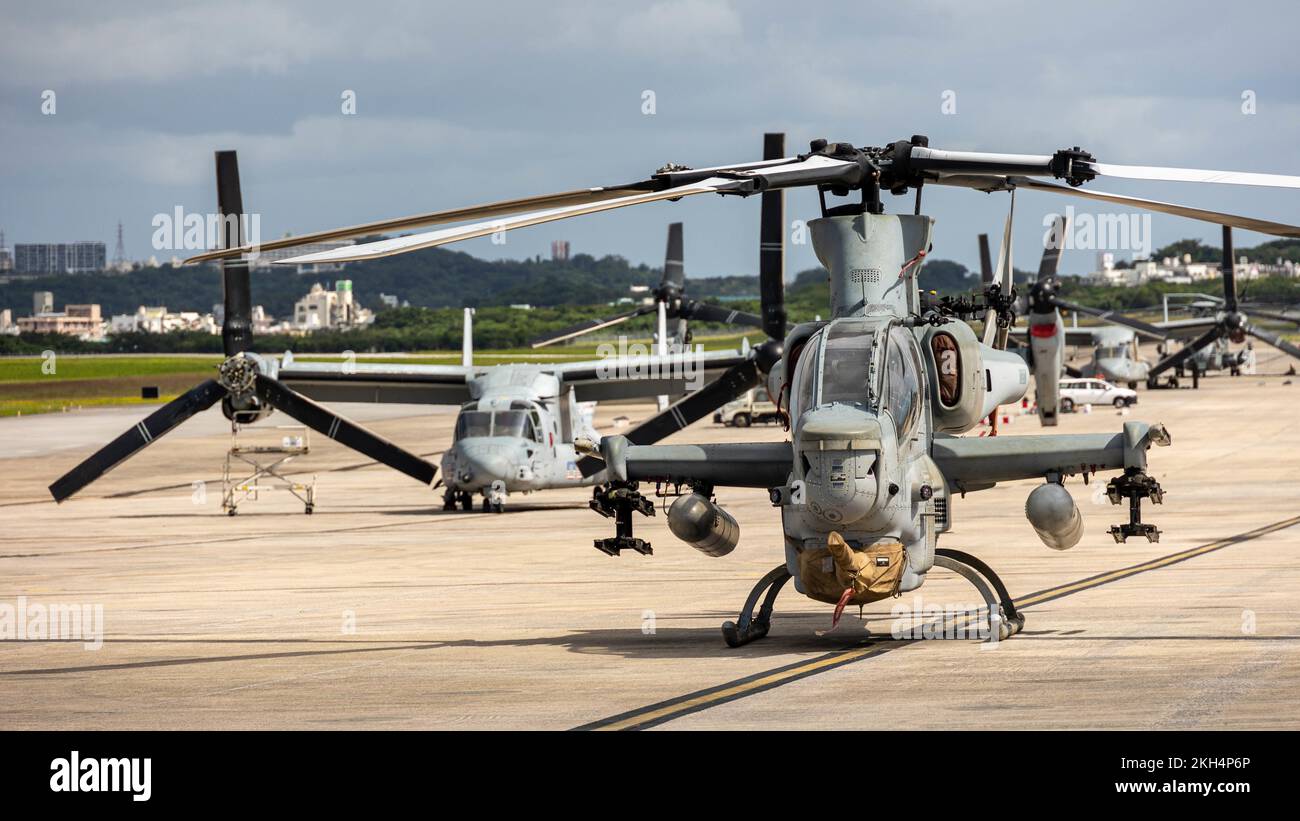 U.S. Marines with Marine Medium Tiltrotor Squadron (VMM) 262 (Rein ...