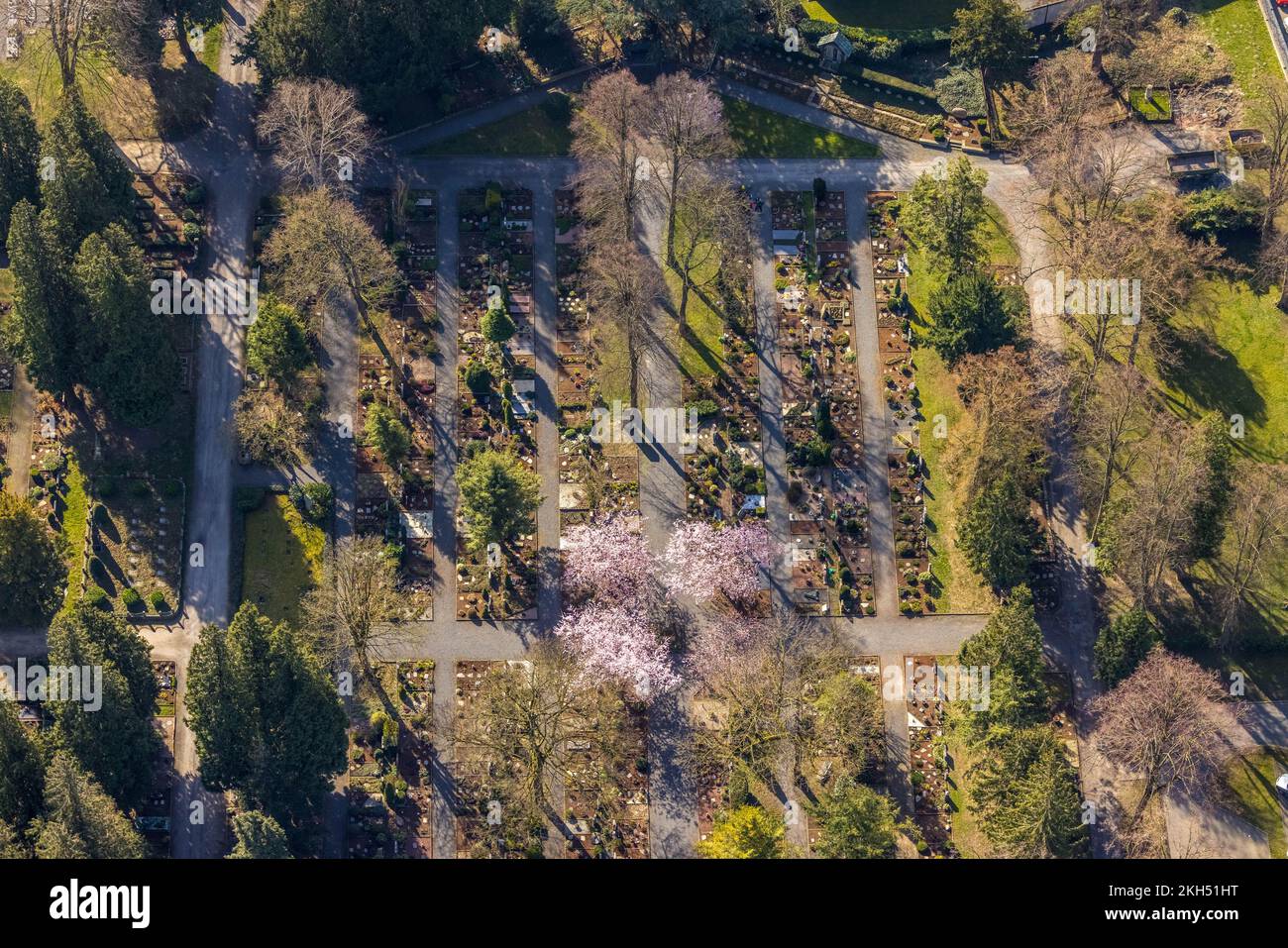 Flowering trees in park cemetery in werl hi-res stock photography and ...
