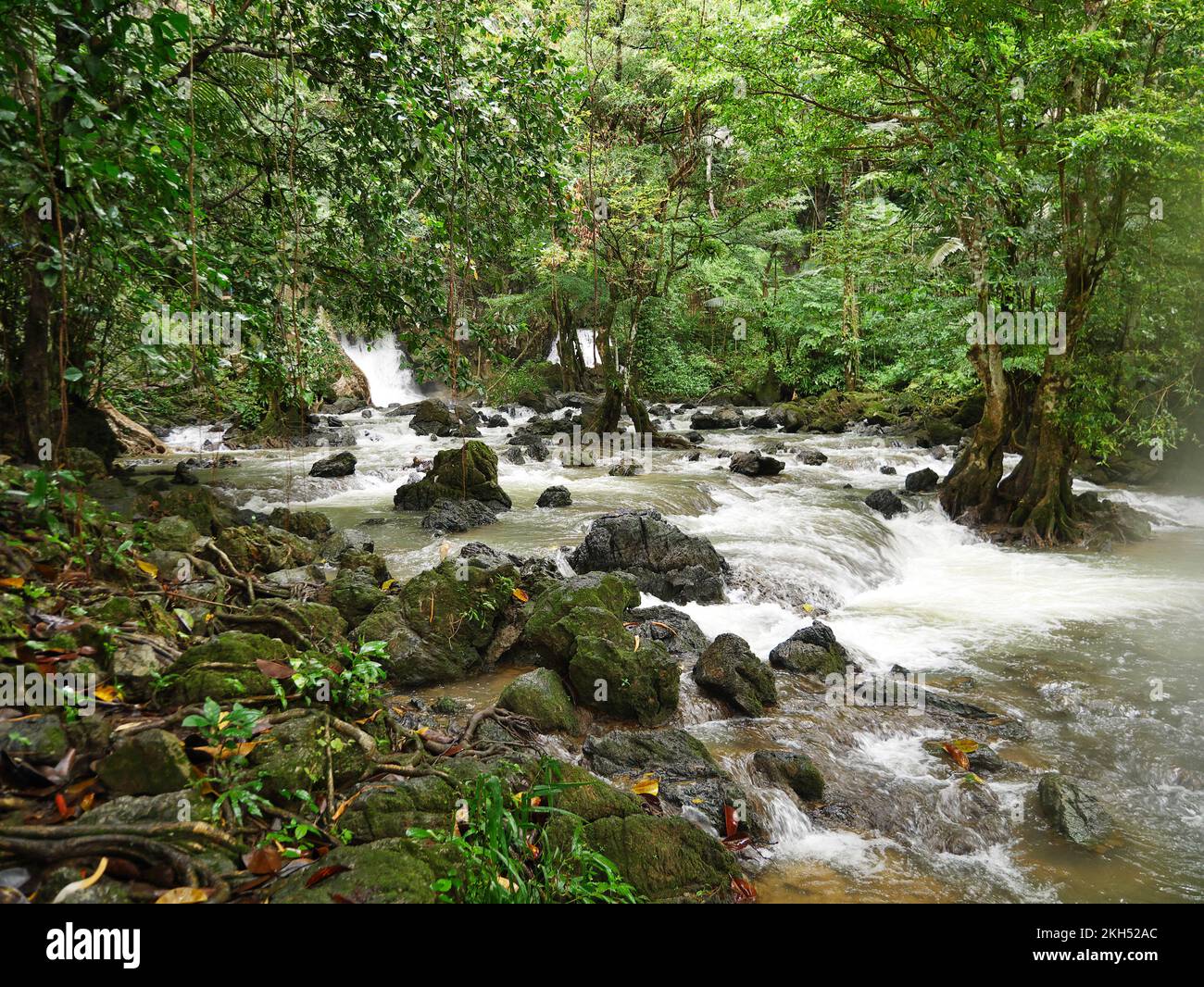 Fluss regenwald hi-res stock photography and images - Alamy