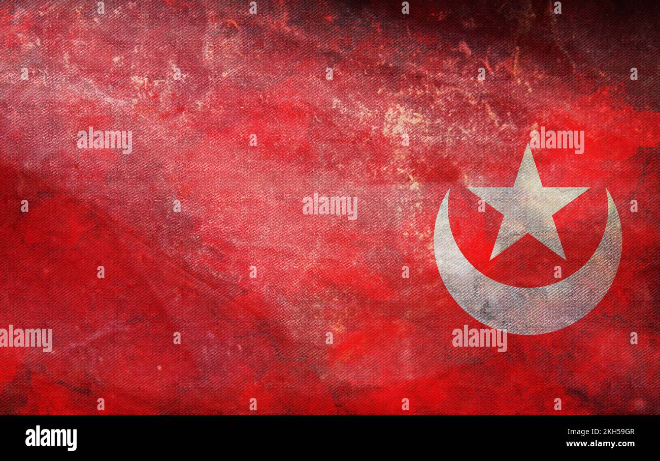 retro flag of Dravidian peoples Siddi with grunge texture. flag ...