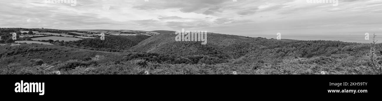View from Dunkery hill of Horner woods in Exmoor National Park Stock ...