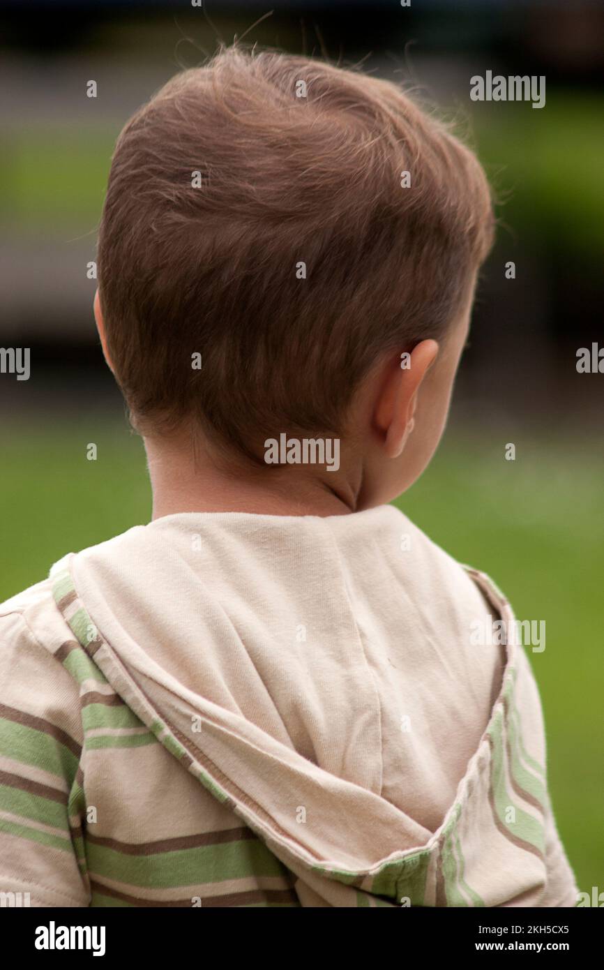little boy with his back to the camera Stock Photo - Alamy