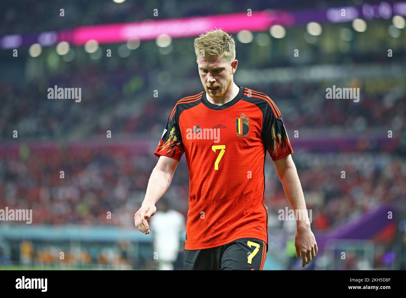 Al Rayyan, Qatar. 23rd November 2022; Ahmed bin Ali Stadium, Al Rayyan ...