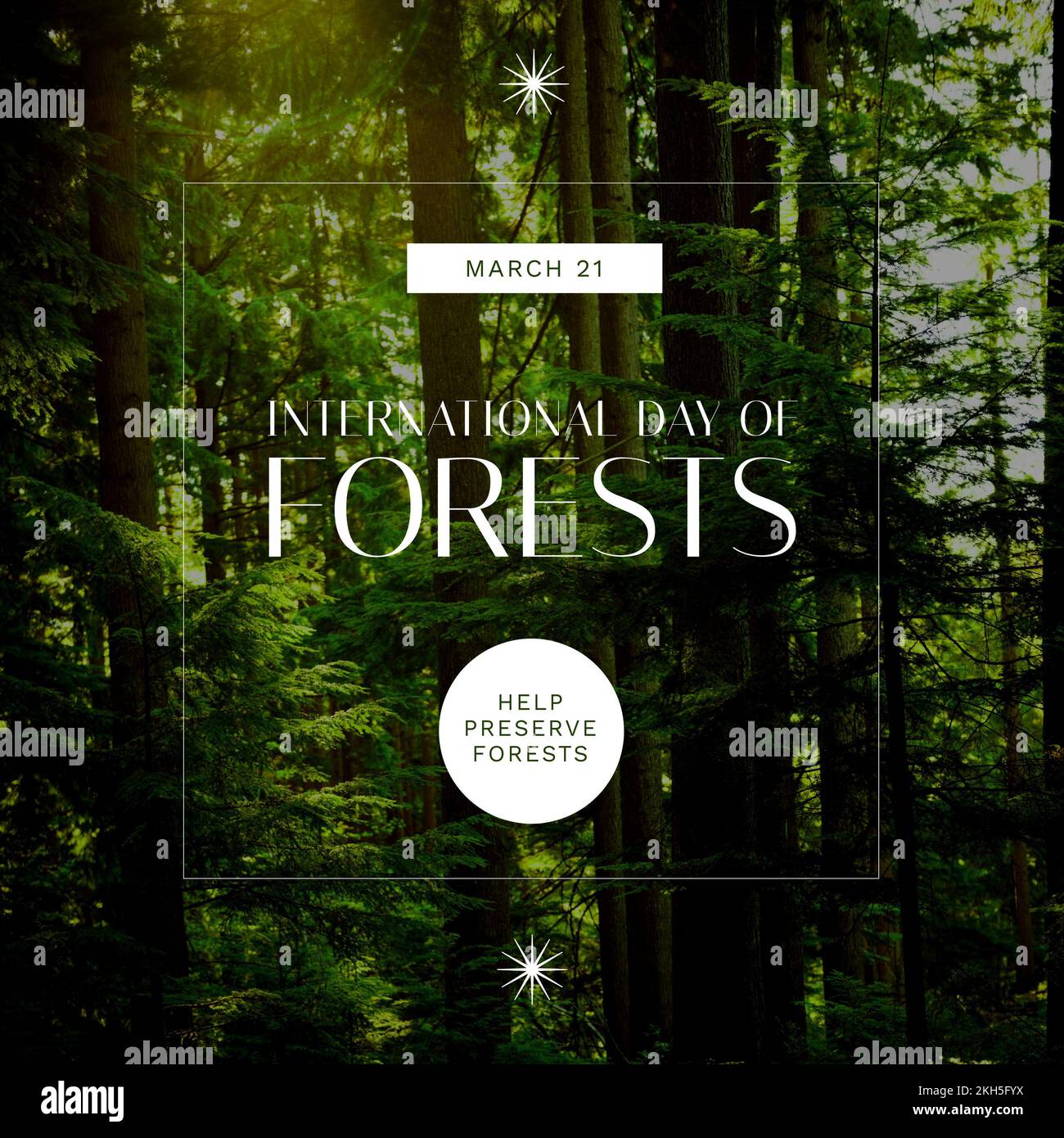Composition of international day of forest text and green forest Stock ...