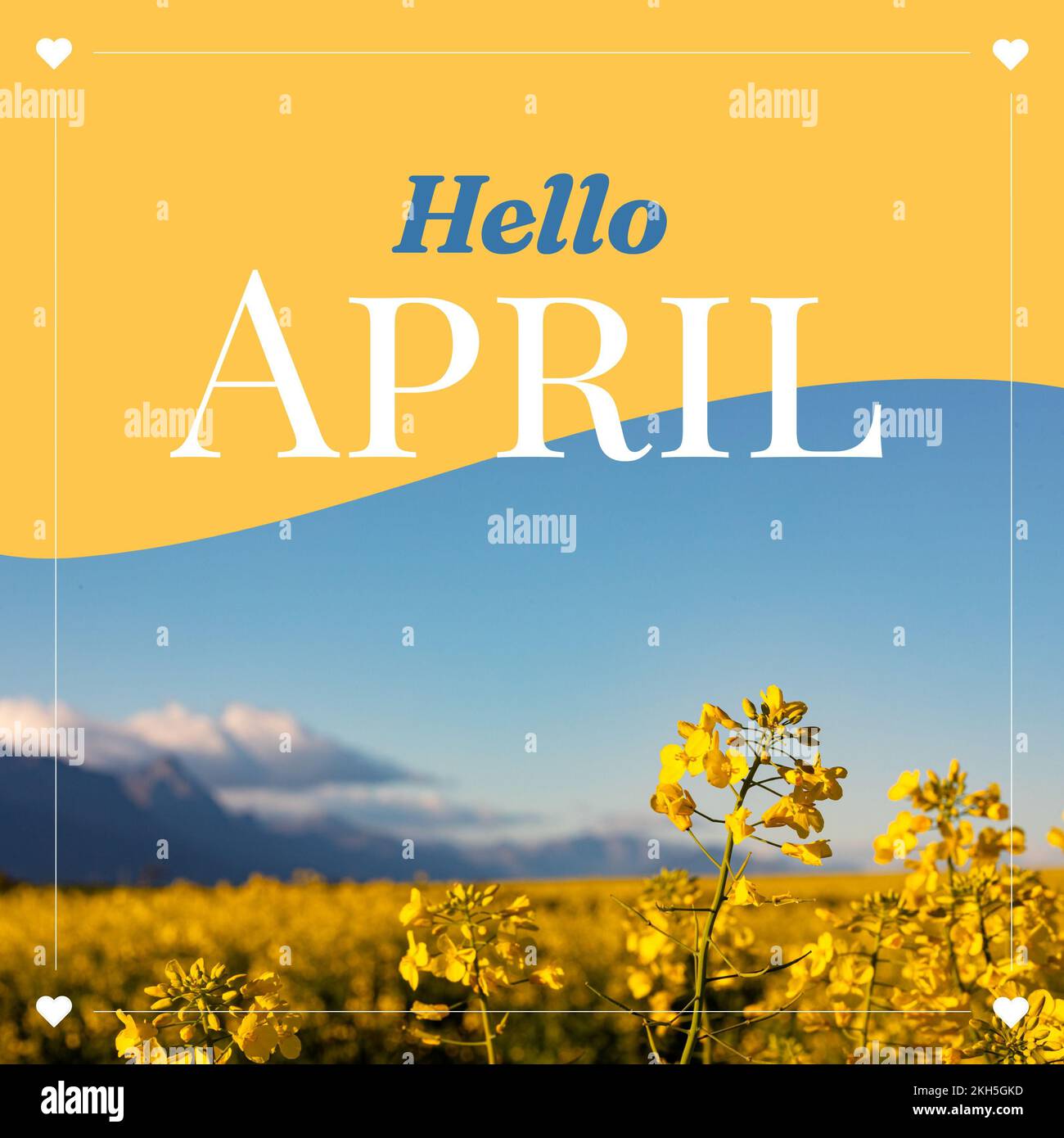 Composition of hello april text over flowers on yellow and blue ...