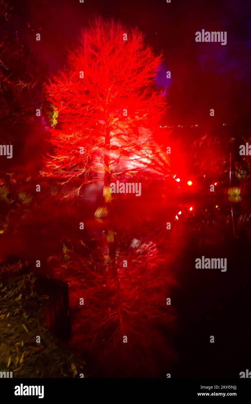 Romsey, Hampshire UK. 23rd November 2022. Preview evening of Light Up ...