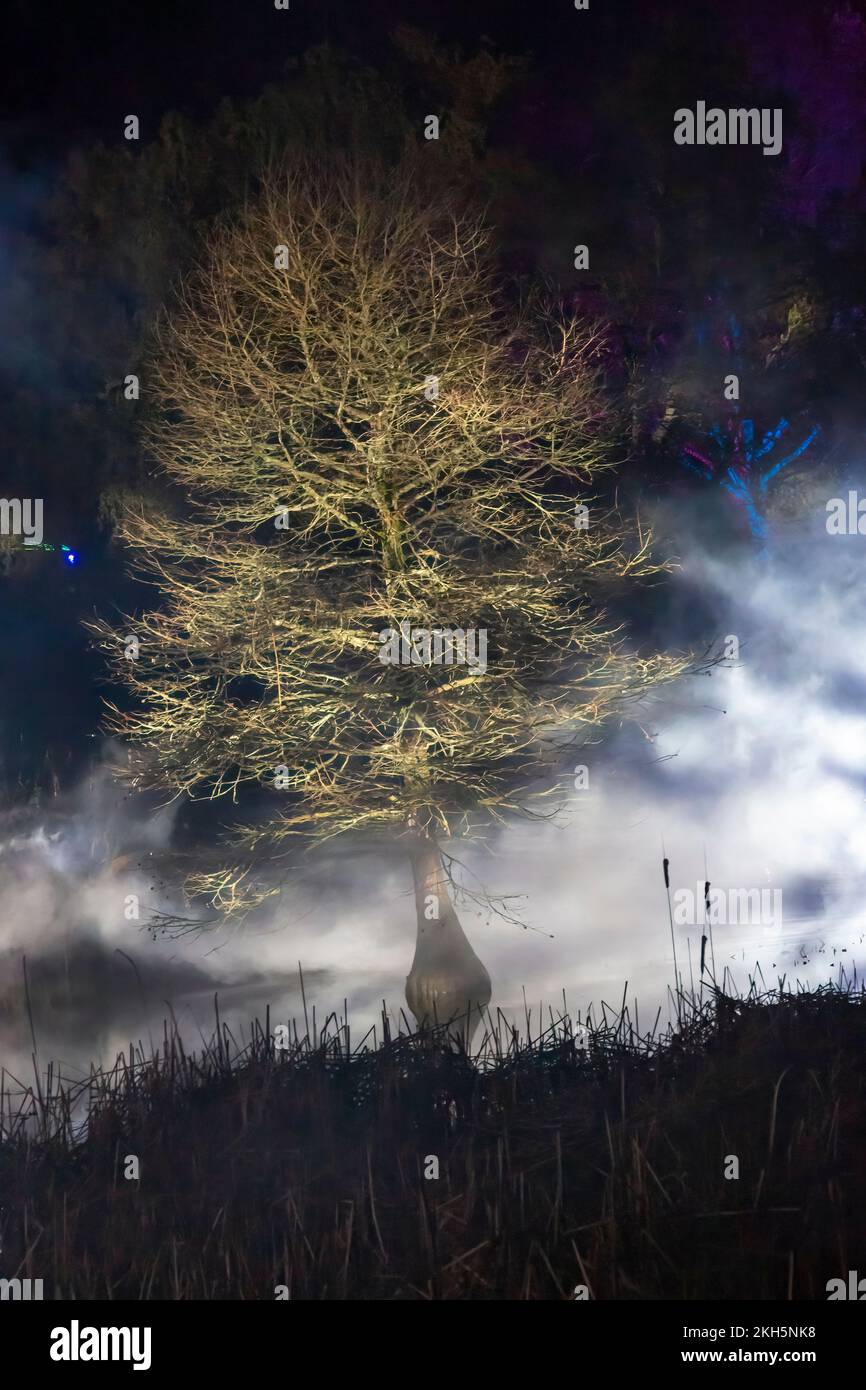 Romsey, Hampshire UK. 23rd November 2022. Preview evening of Light Up ...