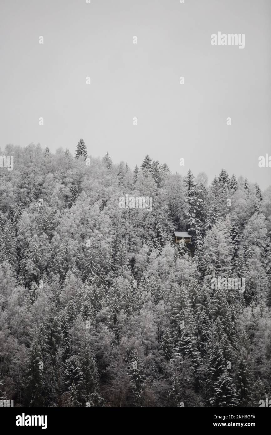 Aerial photo snowy spruce hi-res stock photography and images - Alamy